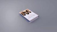 China Book Shape Art Paper Magnetic Closure Gift Box With 2mm Paperboard for sale