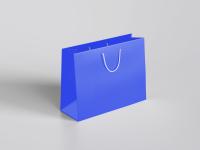 China Blue Art Printed Paper Shopping Bag With Rope Ribbon Handle Gift Packaging for sale