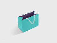 China Blue Art Printed Paper Shopping Bag With Rope Ribbon Handle Gift Packaging for sale
