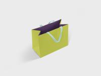 China Blue Art Printed Paper Shopping Bag With Rope Ribbon Handle Gift Packaging for sale
