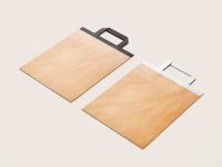 China 200gsm Recyclable Printed Kraft Paper Shopping Bag With Handle for sale
