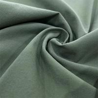 China Recycled Nylon Plain Weave Fabric Abrasion Resistance 70D+40D*70D+40D 146GSM for sale