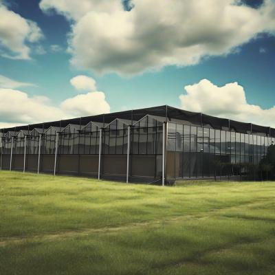 China Long Fatigue Life Steel Structure Warehouse with Optional Lighting System and Q235B Steel Texture for sale
