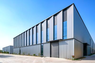 China Q355B Steel Structure Warehouse with Optional Lighting System and Drawing Plan as Buyer's Requirements for sale