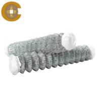 China Galvanized Iron Chain Link Fencing Mesh with Plastic Coating for sale