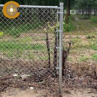 China Galvanized Iron Chain Link Fencing Mesh with Plastic Coating for sale