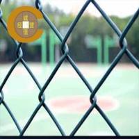 China Galvanized Iron Chain Link Fencing Mesh with Plastic Coating for sale