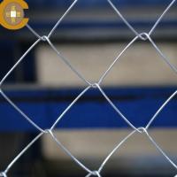 China Customizable Hot Dipped Plastic Coated Chain Link Fence Wear Resisting for sale