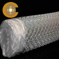 China Customizable Hot Dipped Plastic Coated Chain Link Fence Wear Resisting for sale