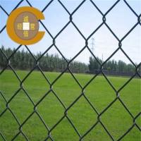 China Customizable Hot Dipped Plastic Coated Chain Link Fence Wear Resisting for sale