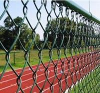 China Galvanized Iron Wire Chain Link Mesh with PVC Coating for Garden Fence for sale