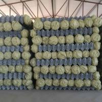 China Galfan Galvanized Alloy Wire Chain Link Fence 3.0mm 4.0mm 5.0mm Woven for sale