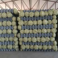 China Galfan Galvanized Chain Link Fence 50x50mm Mesh 3.0-5.0mm Wire Woven Fence System for sale