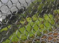 China Galvanized Diamond Mesh Rockfall Shield Netting 2.0mm Wire 50x100mm Opening for sale