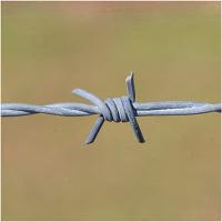 China Galvanized Single Coil Iron Razor Wire 450mm Diameter 2.5mm Thickness for sale