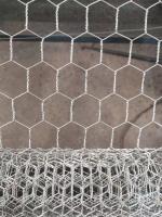 China 1.5mm Galvanized Iron Wire Chickenwire Mesh Fence for Cage Fabrication for sale