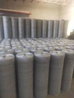 China 1.5mm Galvanized Iron Wire Chickenwire Mesh Fence for Cage Fabrication for sale