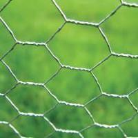 China Galvanized Hexagonal Poultry Wire Netting 1 inch Mesh 50 ft Roll Chicken Coop Fencing for sale