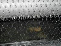 China Galvanized Hexagonal Poultry Wire Netting 1 inch Mesh 50 ft Roll Chicken Coop Fencing for sale