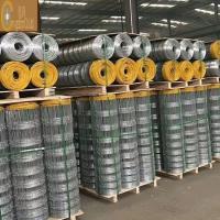 China Galvanized Hexagon Steel Wire Mesh for Poultry Chicken Cage for sale