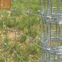 China Galvanized Hexagon Steel Wire Mesh for Poultry Chicken Cage for sale