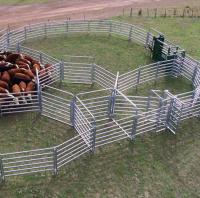 China Galvanized Metal Cattle Fence Panels 16 ft for Livestock Yards for sale