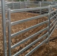 China Galvanized Metal Cattle Fence Panels 16 ft for Livestock Yards for sale