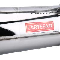 China X480C --air Suspension air Strut Suspension  Shock Absorber Price for sale