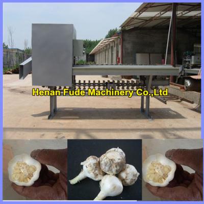 China Garlic root cutting machine , dehydrated garlic chips processing machine for sale