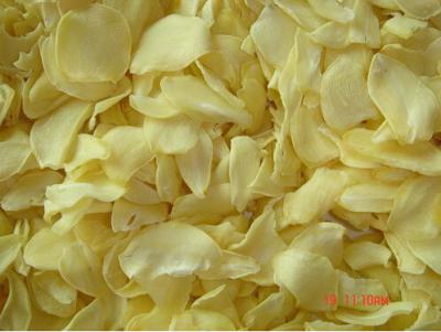 China Garlic slices drying machine , dried garlic slices processing line for sale
