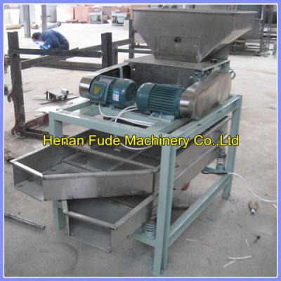 China chestnut chopping machine, chestnut cutter for sale