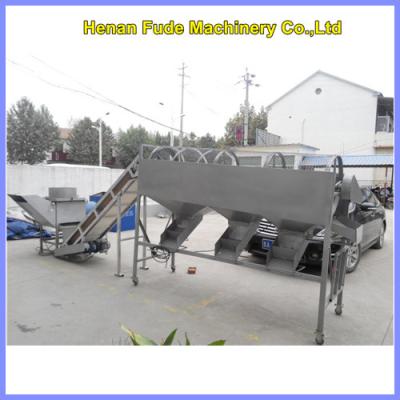 China Garlic cloves splitting and sorting machine,garlic separator and sorter for sale