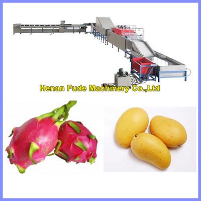 China dragon fruit cleaning and sorting machine for sale