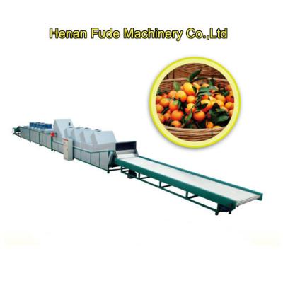 China sugar orange sorting machine, sugar orange grading machine for sale