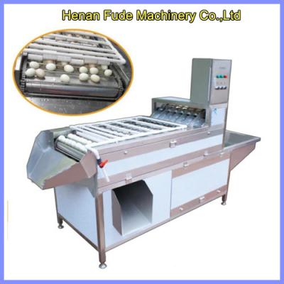 China Egg shelling machine,egg peeling machine,egg sheller for sale