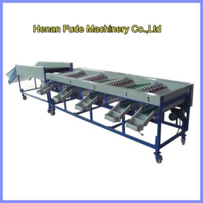 China Garlic grading machine, garlic sorting machine with brush cleaning for sale
