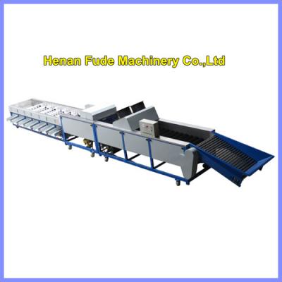 China lemon grading machine, lemon waxing sorting machine for sale