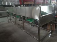 China Garlic Sorting Machine, Garlic Grading Machine, Garlic Sorter, Garlic Classifier for sale