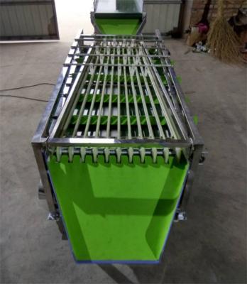 China olive sorting machine, cherry tomato grading machine, dates sorting machine for sale