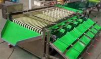 China blueberry grading machine, dates sorting machine, plum grading machine for sale