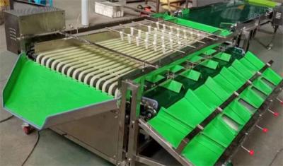 China blueberry grading machine, dates sorting machine, plum grading machine for sale