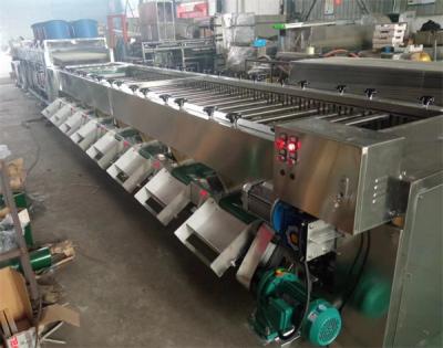 China potato washing drying grading machine, potato washing dryer sorting line for sale