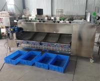 China cheapest potato grading machine, potato sorting machine, potato sorter grader for sale