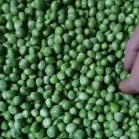 China Fresh Pea Pod Removing Machine, Pea Peeling Machine, Pea Shelling Machine for sale