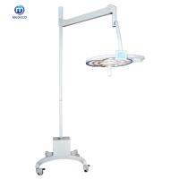 China Mobile Type LED Surgical Lamp 500 With Battery Medical Shadowless Surgical Light for sale