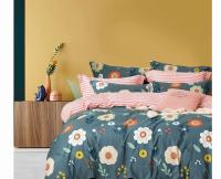 China 3pc Cotton Bedding Sets Printed Reversible Double Duvet Covers for sale