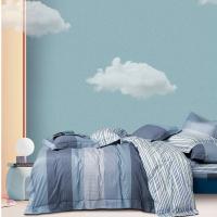 China Reversible 100% Organic Cotton 3pc Duvet Cover Set Single Blue Simple Sheet for sale