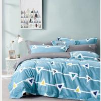 China 100% Cotton Printed Duvet Cover Set OEKO-TEX Certified Custom Sizes for sale