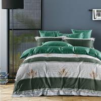 China 300 TC 100% Cotton Embroidery Home Bed sheet Bedding Sets for sale