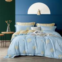 China Custom Printed 100% Tencel Duvet Cover Set 6 Piece with 230 Thread Count for sale